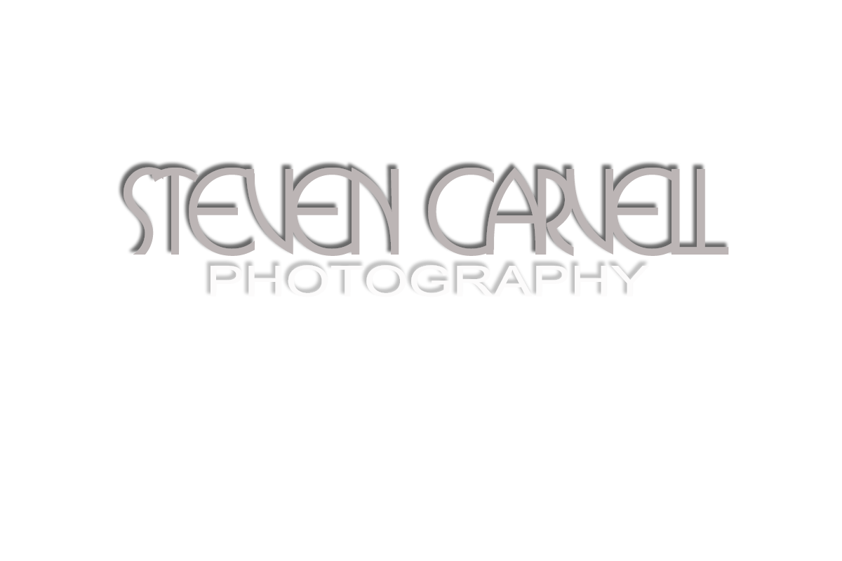 Homepage: Photography Studio - Steven Carvell Photography and Design